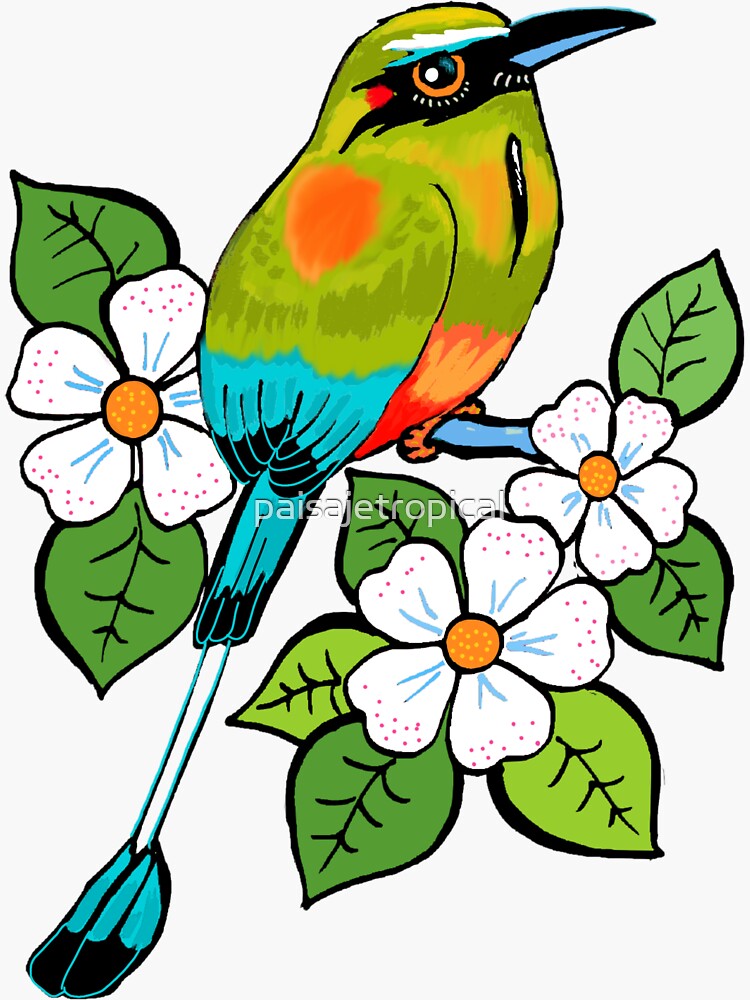 "Torogoz tropical bird" Sticker for Sale by paisajetropical | Redbubble