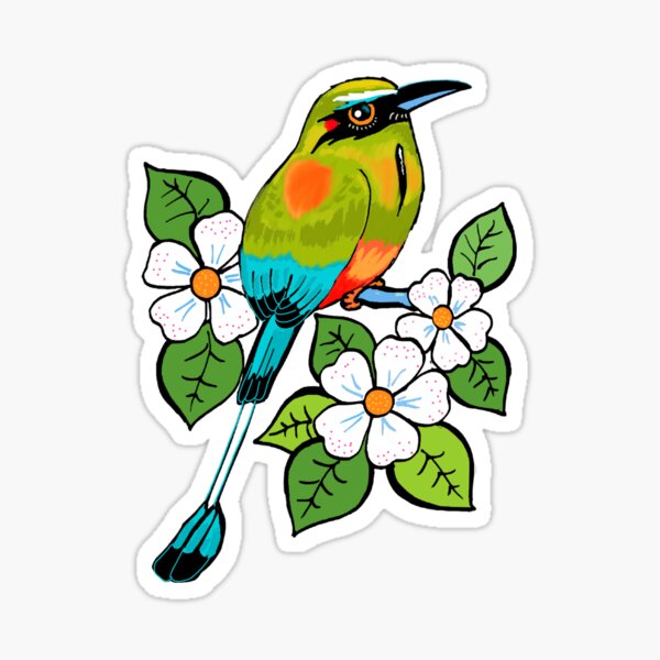 "Torogoz tropical bird" Sticker for Sale by paisajetropical | Redbubble
