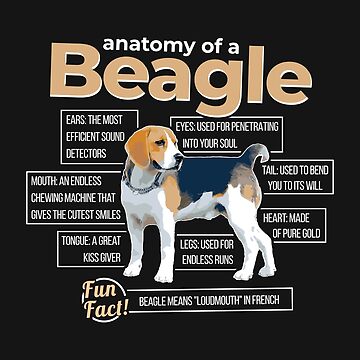 "Anatomy of a Beagle" Postcard for Sale by radvas | Redbubble