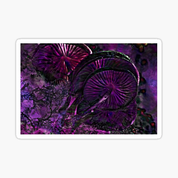 "Shroom Art" Sticker for Sale by dawnmvd | Redbubble