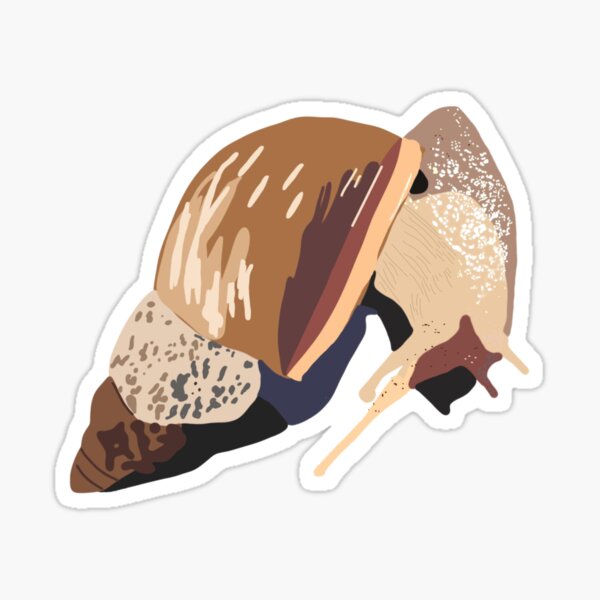 Meggie-moos Shop | Redbubble