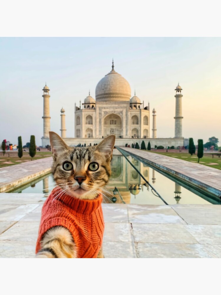 Taj Mahal Memes