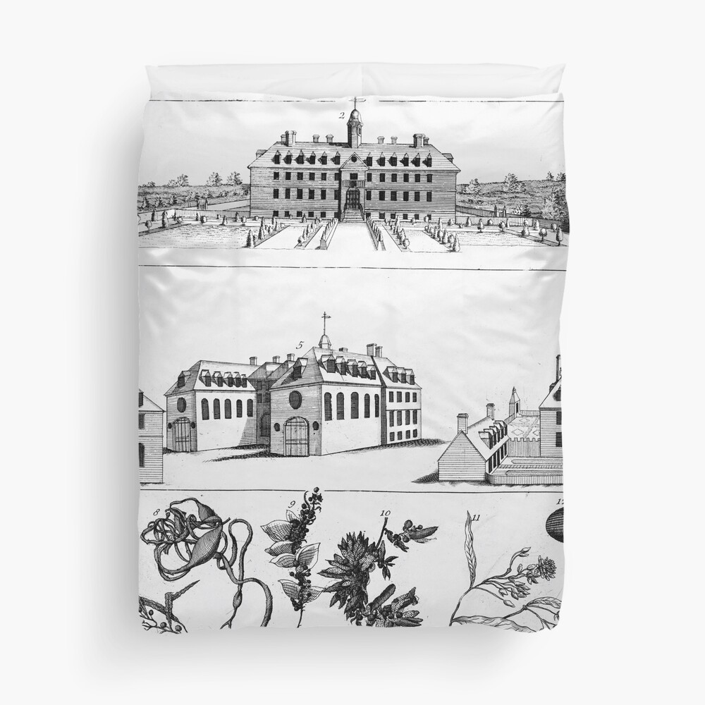 "Oldest Cities - Colonial Williamsburg, Virginia - Vintage Etching ...