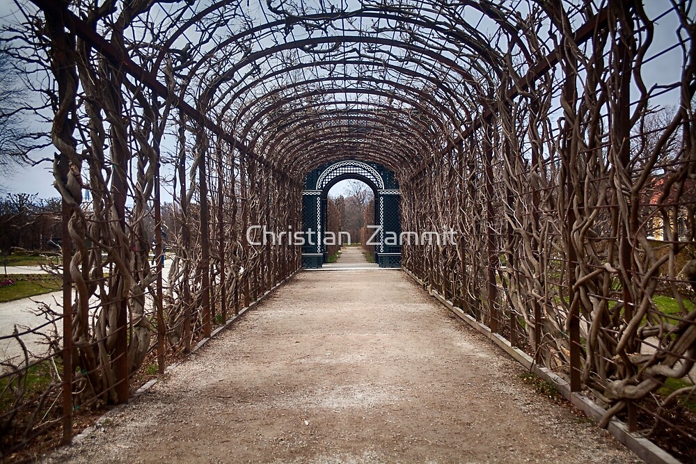 "Leading to infinity" by Christian Zammit | Redbubble