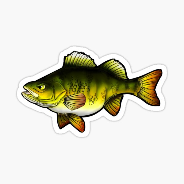 "yellow perch fnf 2" Sticker for Sale by Finsinframes | Redbubble