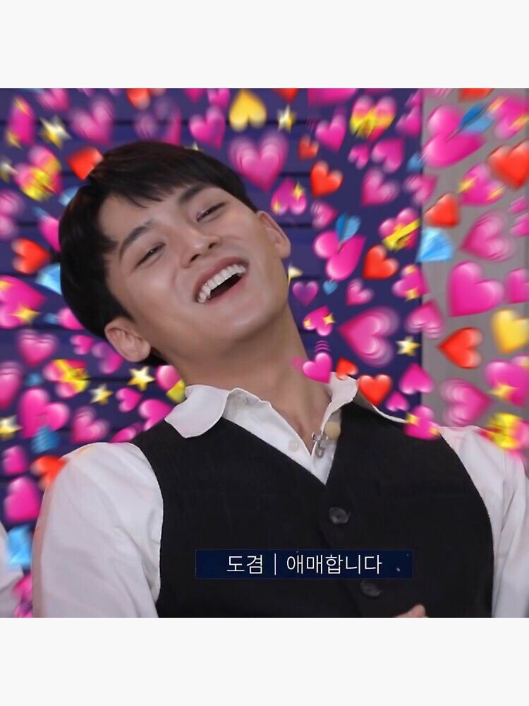 "Mingyu, Kim Mingyu, Svt, Gose, 17, Carat, Korean, Kpop, Meme, Memegyu ...