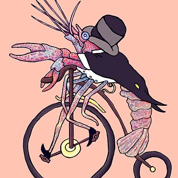 "Lobster Shrimp Gentleman on Retro Bicycle " Sticker for Sale by ...