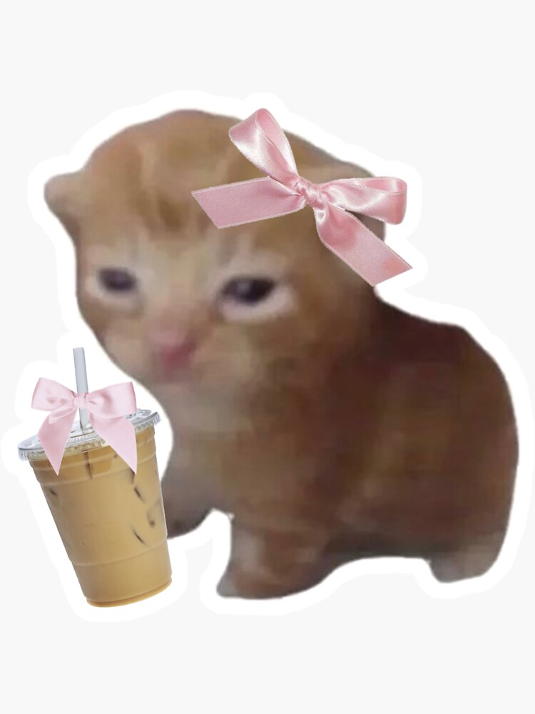 "Coquette cat with iced coffee" Sticker for Sale by ilonaloves | Redbubble