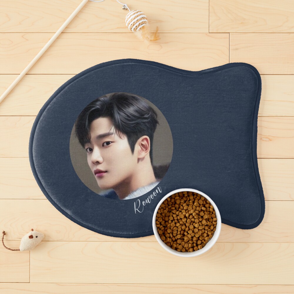 "Rowoon SF9 로운 fan art portrait" Sticker for Sale by Babush-kat | Redbubble