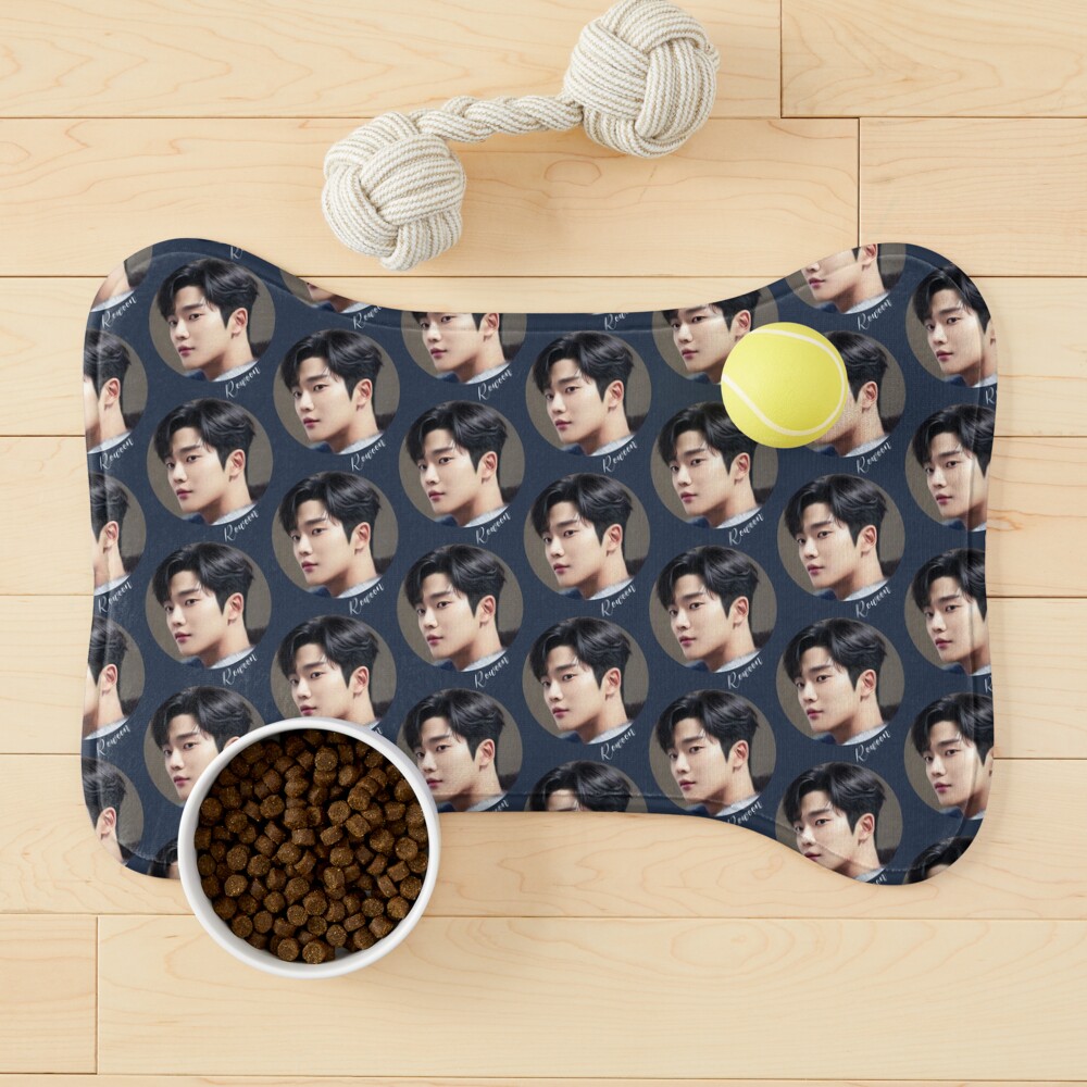 "Rowoon SF9 로운 fan art portrait" Sticker for Sale by Babush-kat | Redbubble