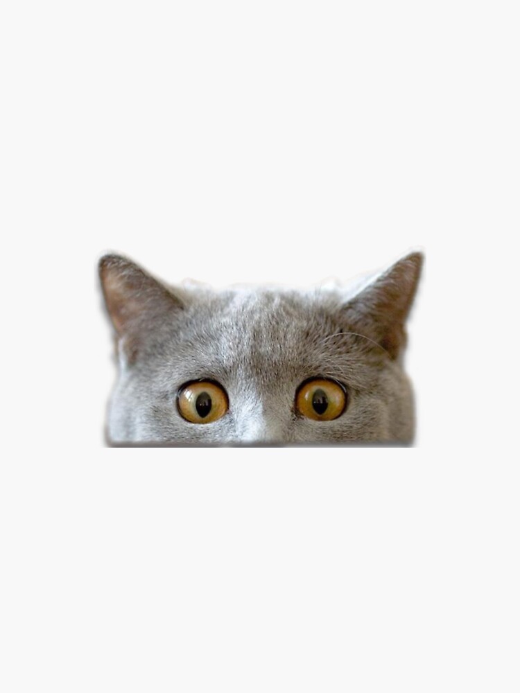 "peeking cat sticker" Sticker for Sale by Sandis008 | Redbubble