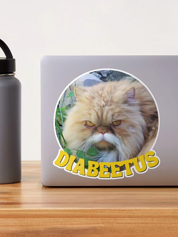 Wilford Brimley Diabeetus Gato