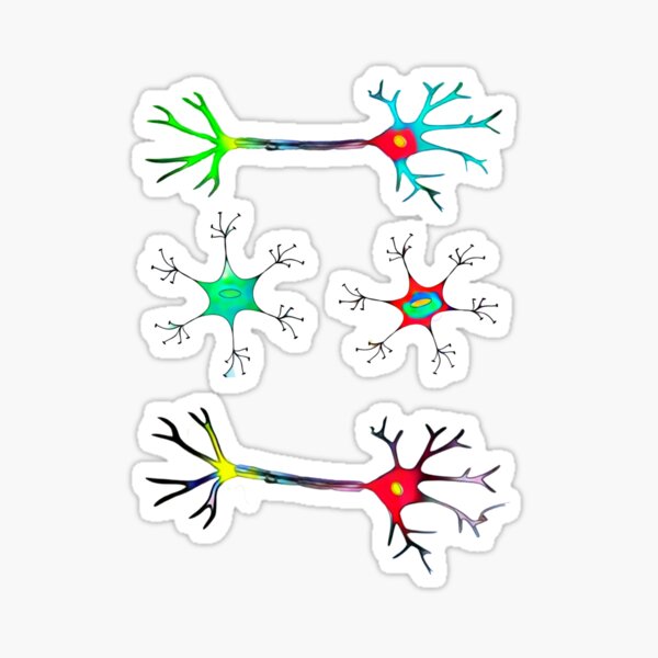 "Neurons in color" Sticker for Sale by AnisettedelSOL | Redbubble