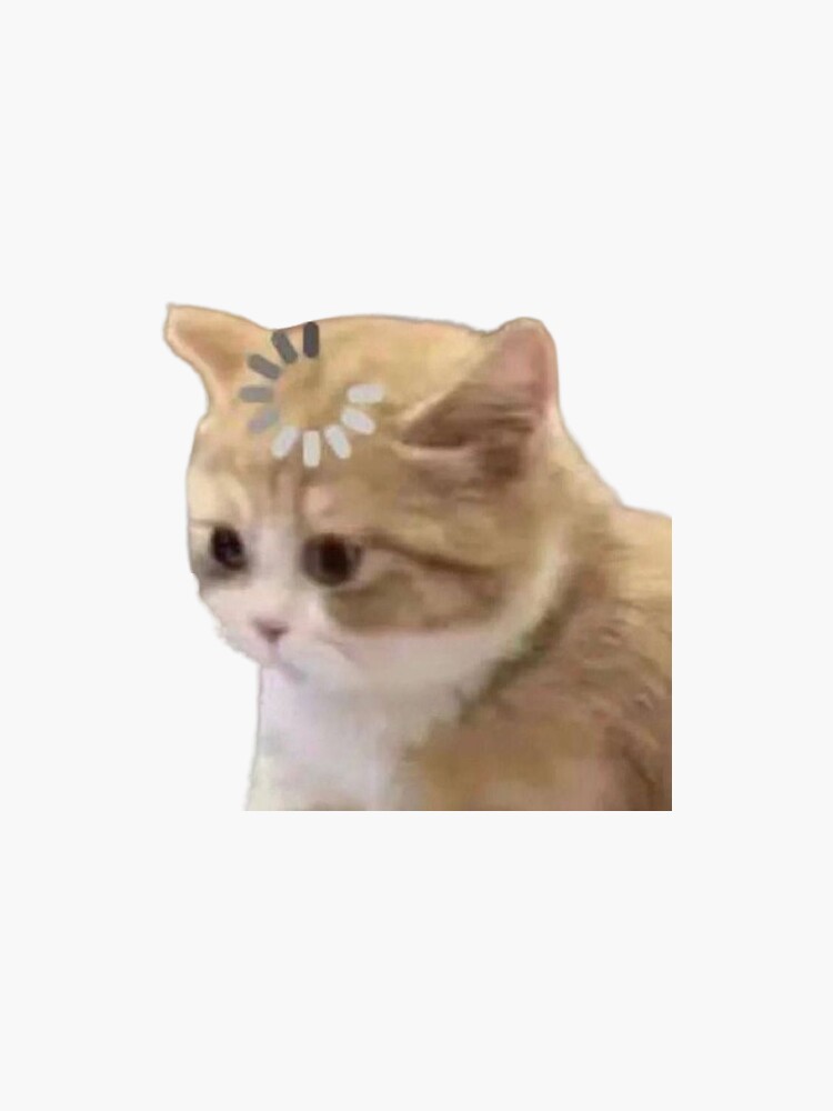 "confused loading cat meme" Sticker for Sale by artsypatterns | Redbubble