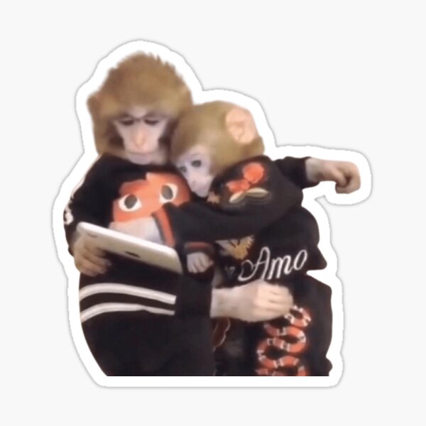 "two monkeys using an ipad meme" Sticker for Sale by kiwifruitjuice ...