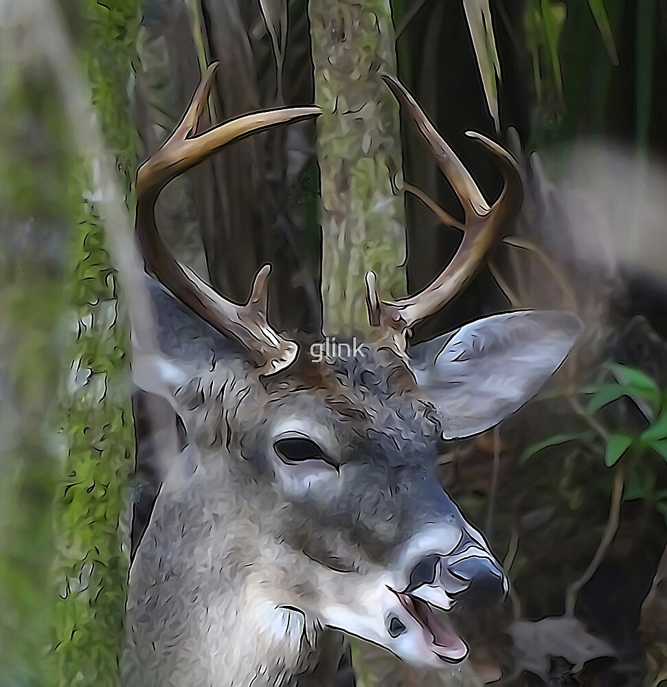 "Six point Buck" by glink | Redbubble