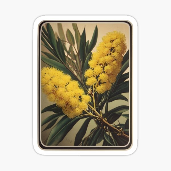 "Wattle with Retro Twist." Sticker for Sale by NewtBoo | Redbubble