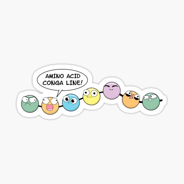 "Amino Acid Conga Line" Sticker for Sale by amoebasisters | Redbubble