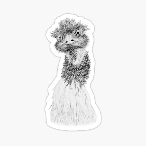 "Endurance Emu" Sticker for Sale by lindaursin | Redbubble