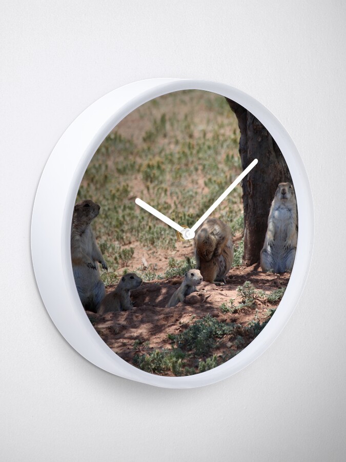 "Prairie Dog Family" Clock for Sale by Dennis Consorte | Redbubble