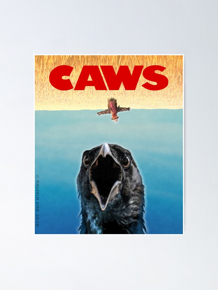 "CAWS" Poster for Sale by Malcolm Kirk | Redbubble