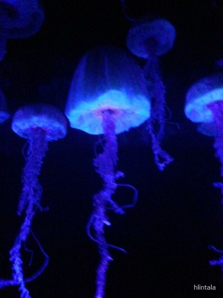 "Neon Space Jelly" by hlintala | Redbubble