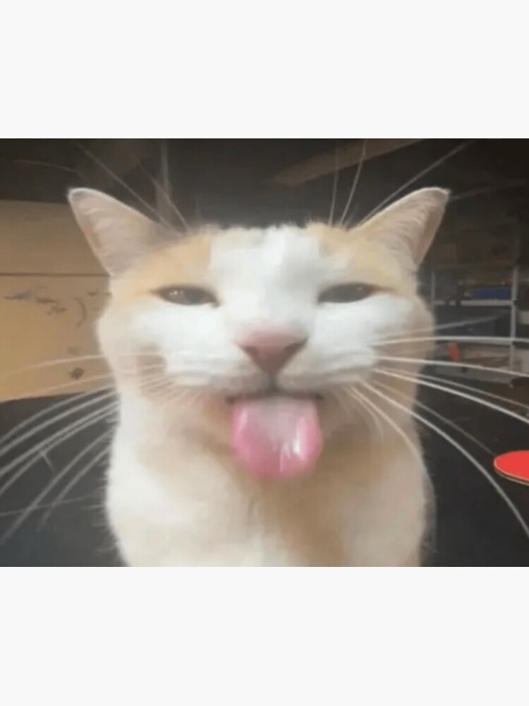 "Cat sticking out Tongue Meme" Sticker for Sale by savagememestore | Redbubble
