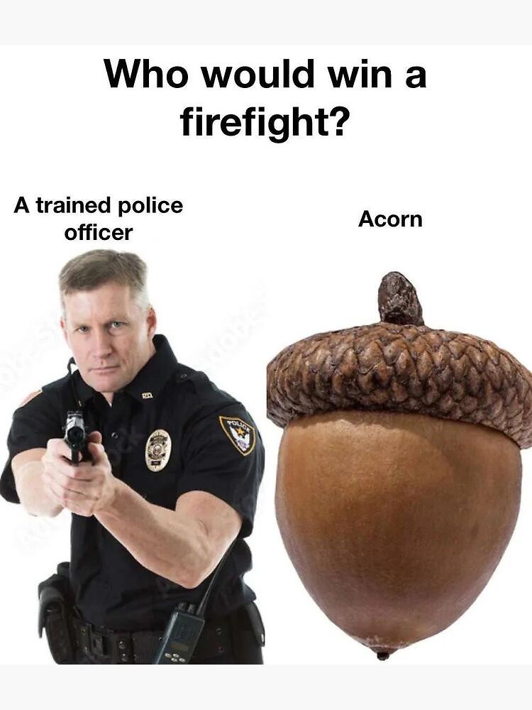 Police Officer Memes