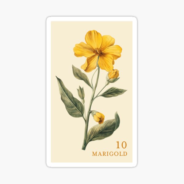 "Marigold - October Birth Flower" Sticker for Sale by plantlady-shop ...