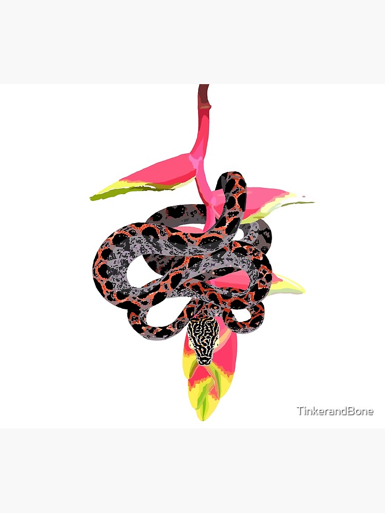 "Amazon Tree Boa" Art Print by TinkerandBone | Redbubble