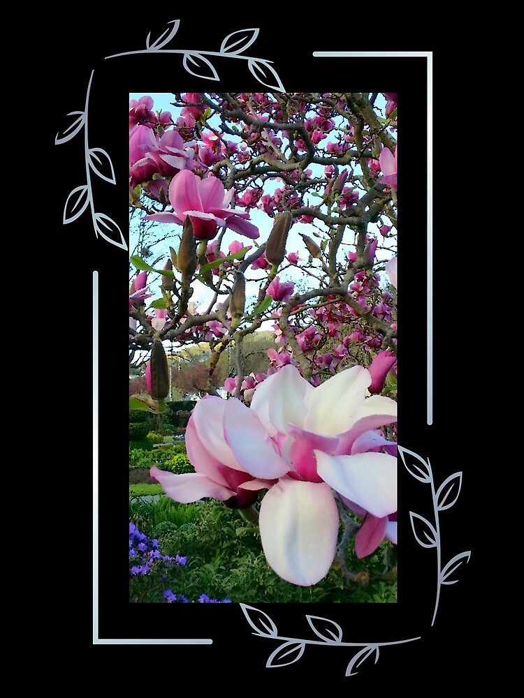 "Magnolia Flowers in Leaf Frame" Poster for Sale by Icefyre-Art | Redbubble