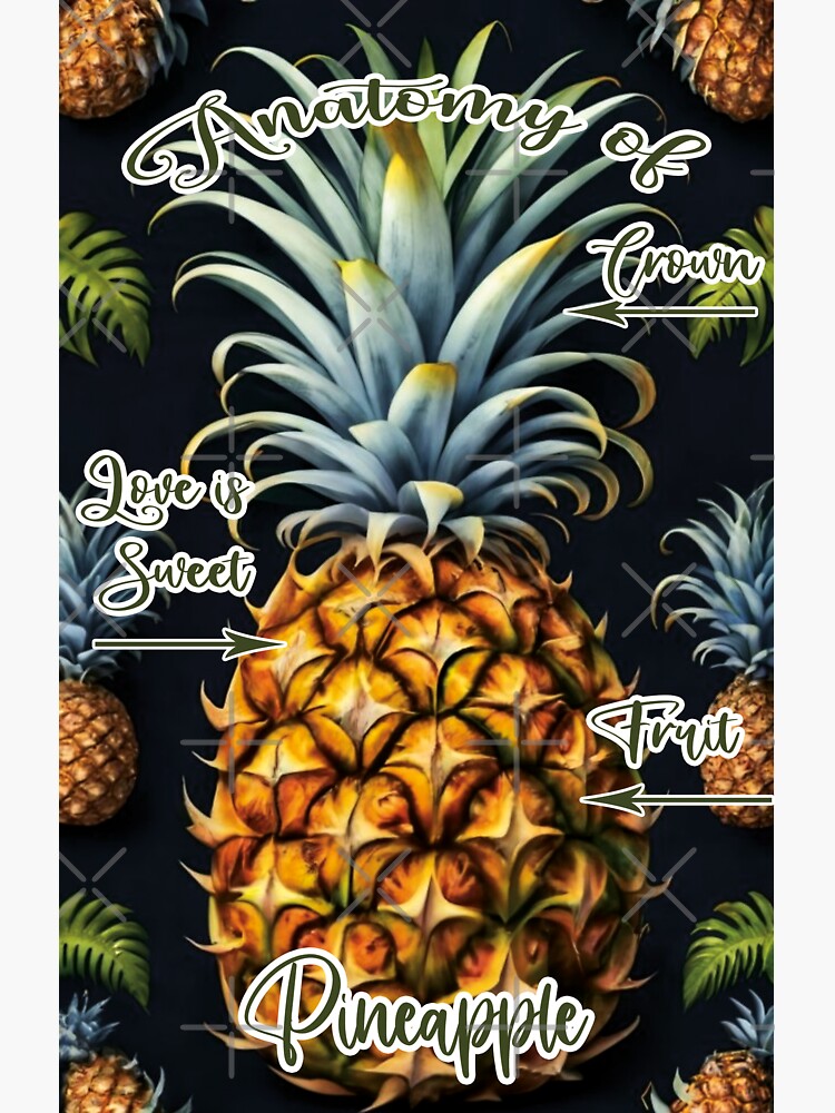 "Funny Anatomy Of Realistic Pineapple" Sticker for Sale by ...