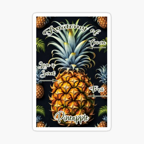 "Funny Anatomy Of Realistic Pineapple" Sticker for Sale by ...