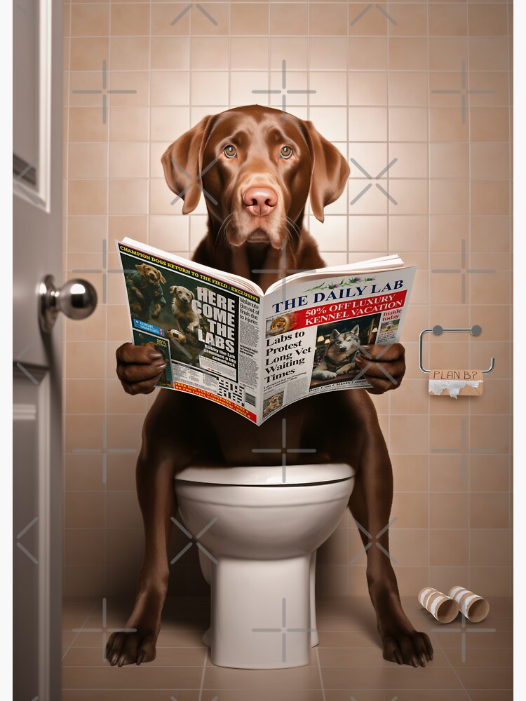 "Chocolate Brown Labrador on the Toilet" Sticker for Sale by ...