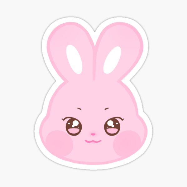 "Aniteez DDEONGbyeoli - Ateez Seonghwa" Sticker for Sale by ...