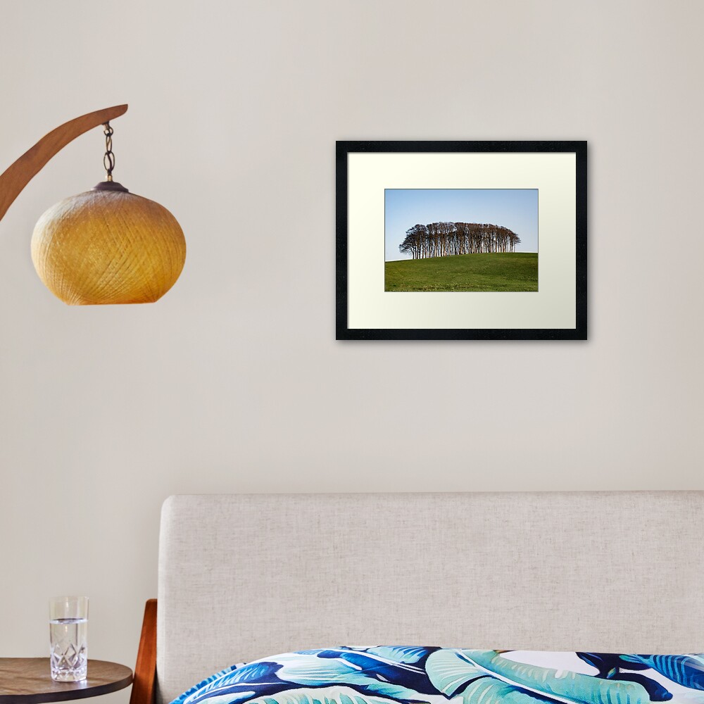 "Nearly Home Trees, Coming home trees, Cornwall trees,welcome to ...