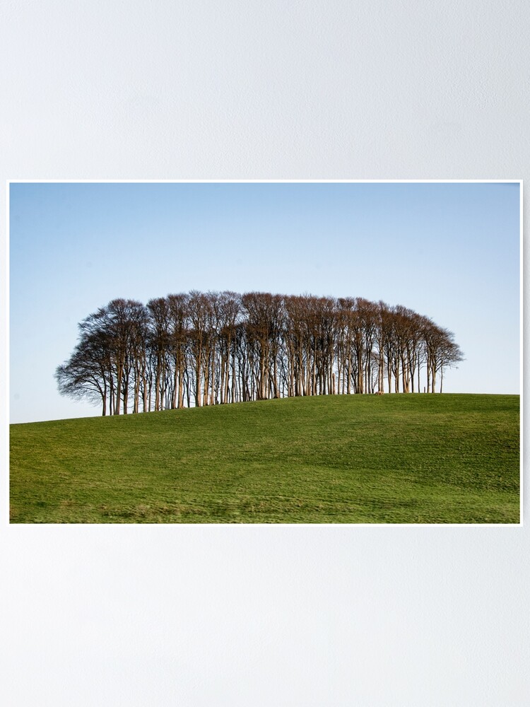 "Nearly Home Trees, Coming home trees, Cornwall trees,welcome to ...