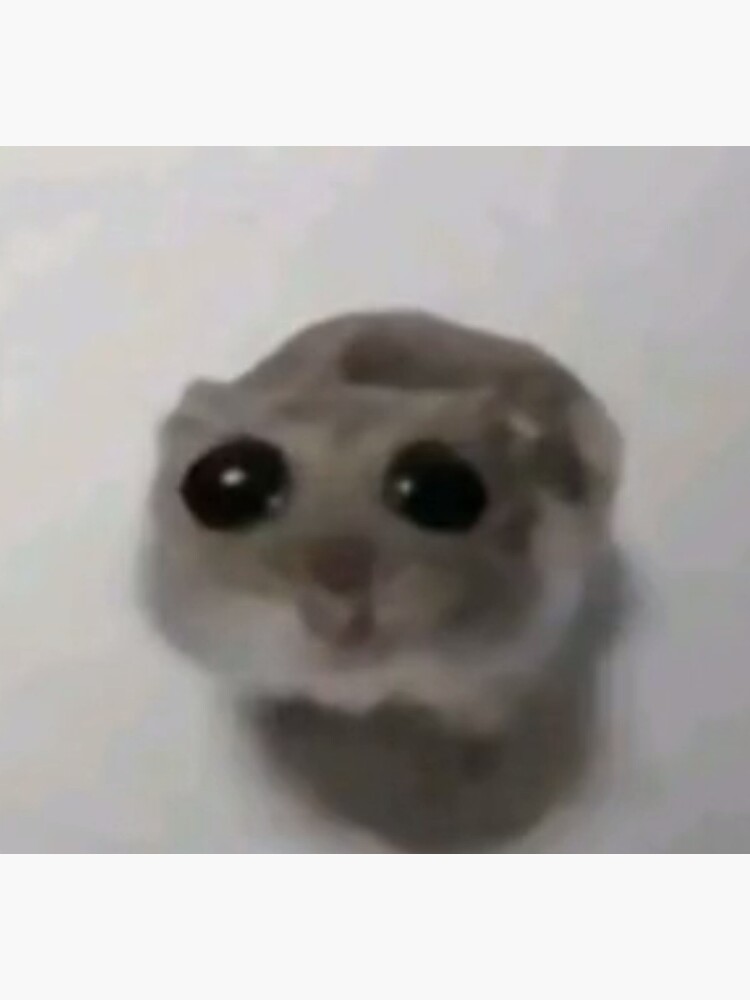 "Sad Hamster Meme" Sticker for Sale by savagememestore | Redbubble