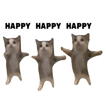 "Hapi Cat Dance" Greeting Card for Sale by sholikinbadiii | Redbubble