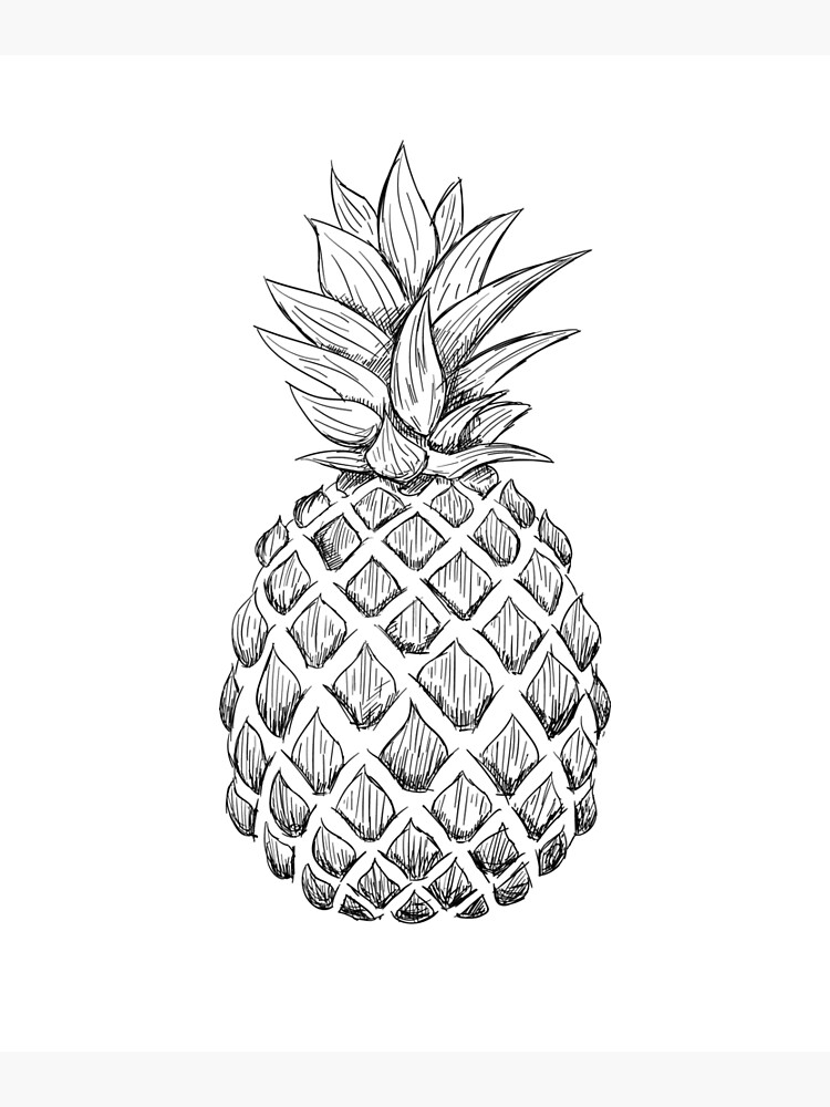 "Pineapple - hand drawn - illustration - line drawing" Art Print for ...