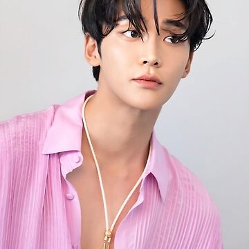 " Rowoon handsome" Poster for Sale by appa-sr | Redbubble