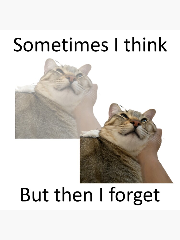 "Sometimes I think but then I forget - Cat Meme " Sticker for Sale by ...