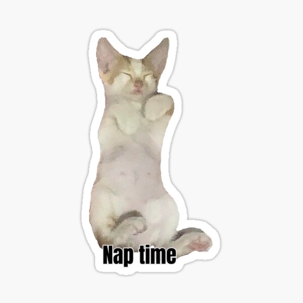 "Nap Time Cat Meme" Sticker for Sale by filomay | Redbubble