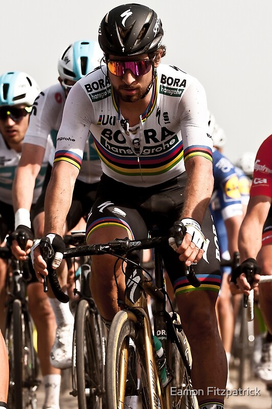 "Peter Sagan" by Eamon Fitzpatrick | Redbubble