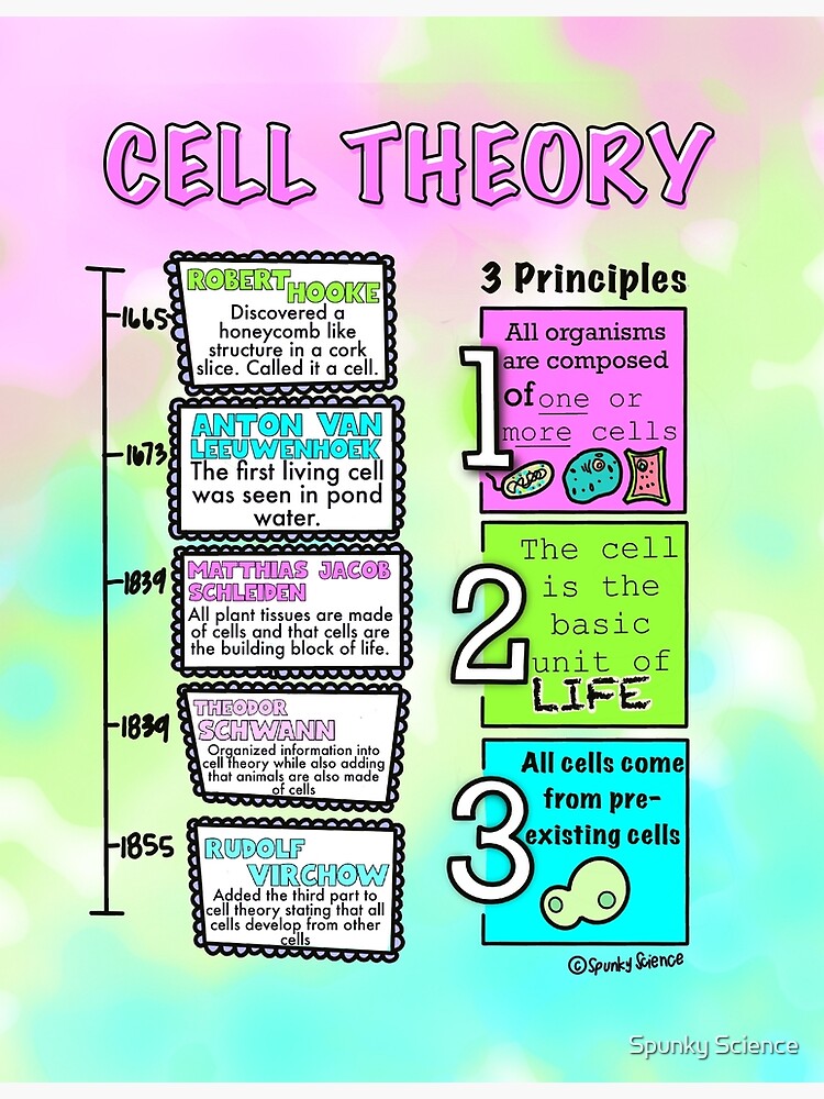 Cell Theory For Kids