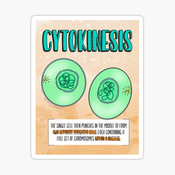 Mitosis Merch & Gifts for Sale | Redbubble