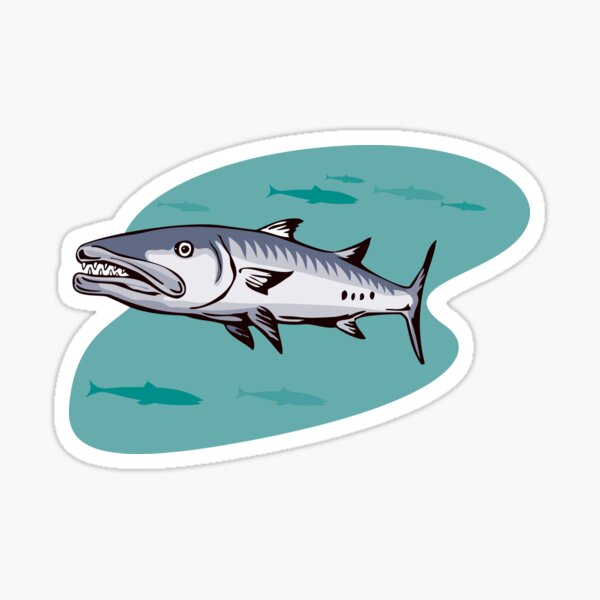 "Barracuda Retro" Sticker for Sale by retrovectors | Redbubble