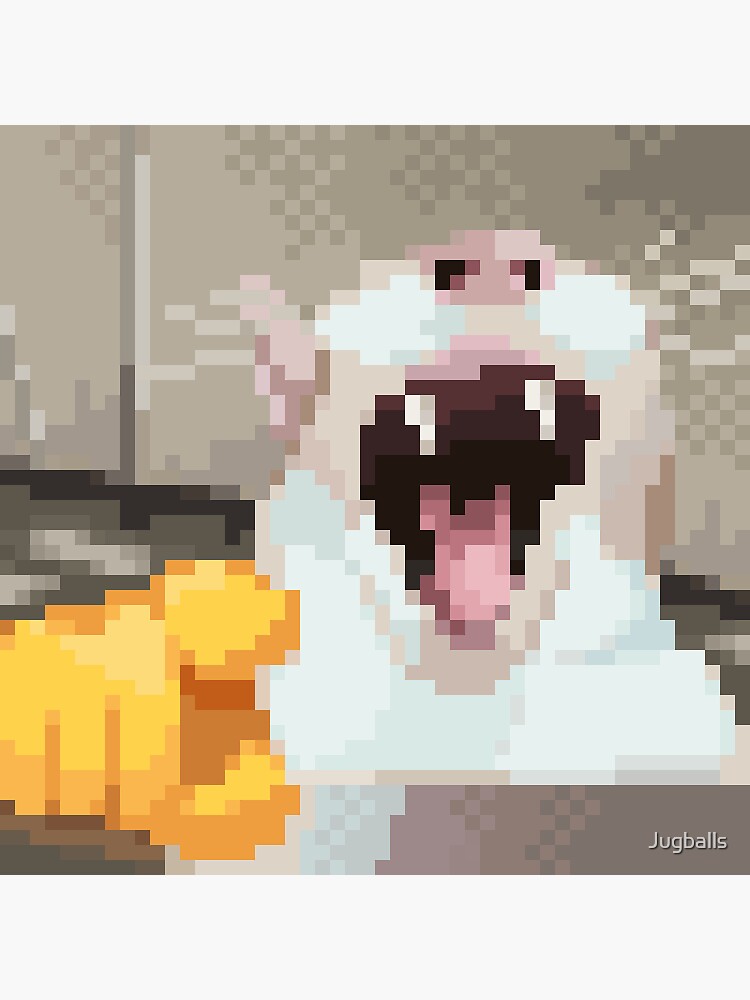 "Cat Laugh Point Meme" Sticker for Sale by Jugballs | Redbubble