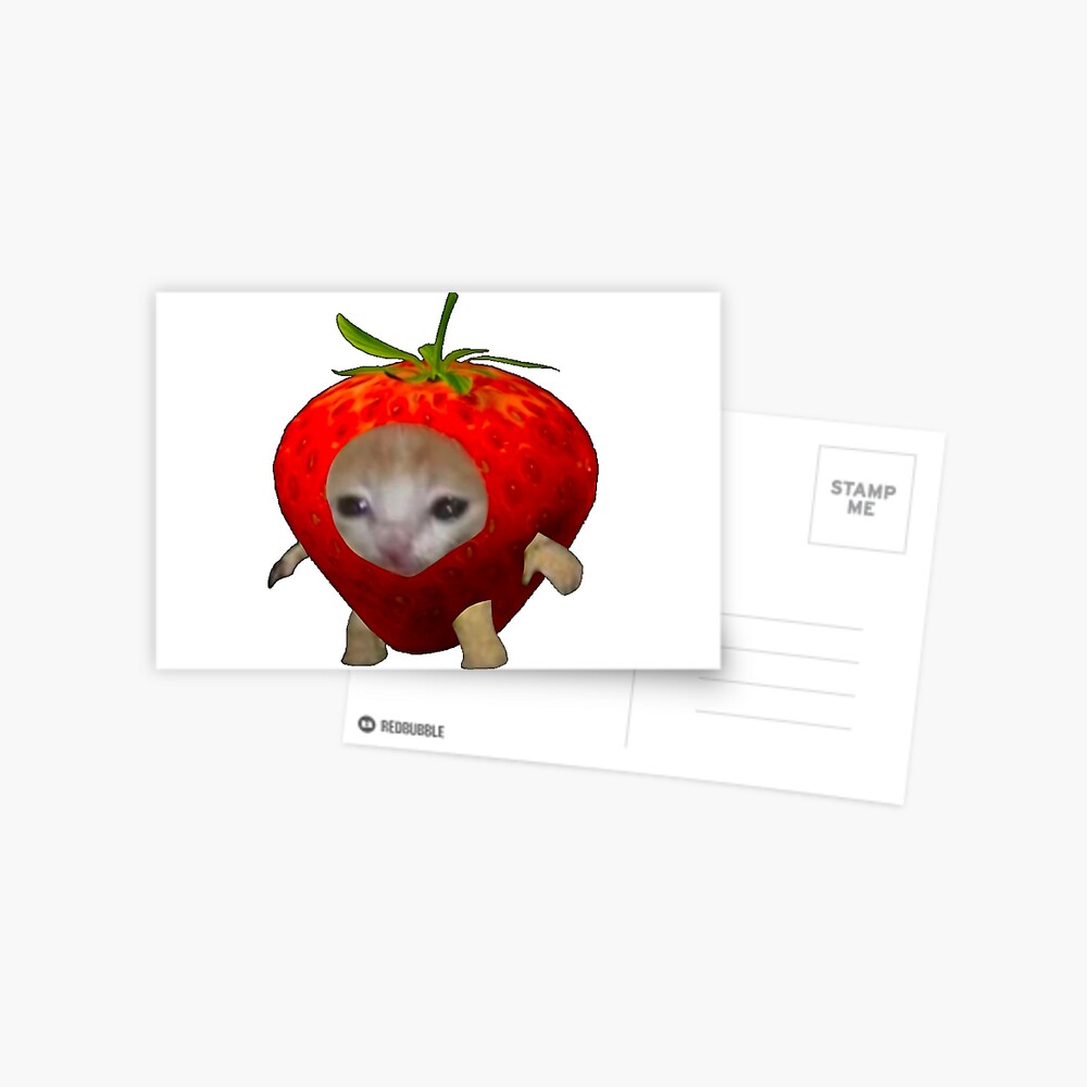 "Strawberry Cat Meme" Sticker for Sale by Billion6 | Redbubble