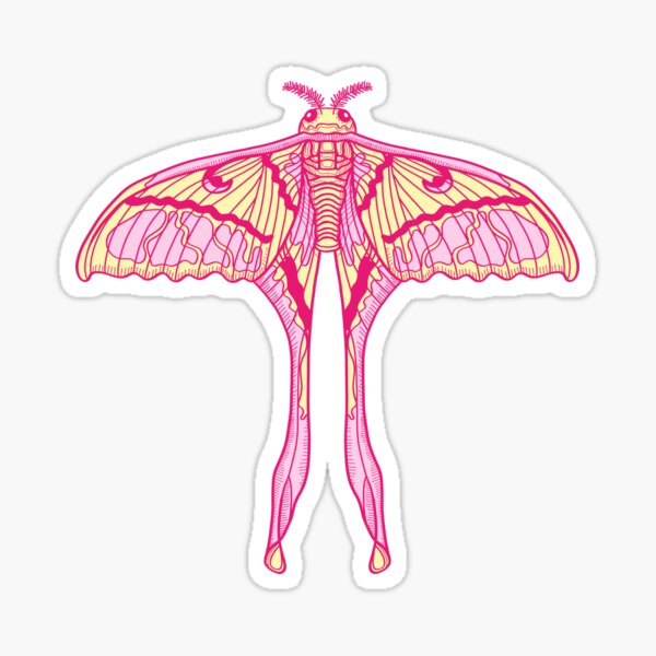 "Chinese moon moth" Sticker for Sale by merialnam | Redbubble